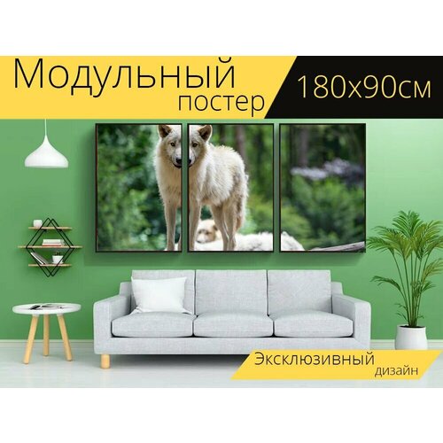 Модульный постер "Волк, мондо верде, животное" 180 x 90 см. для интерьера