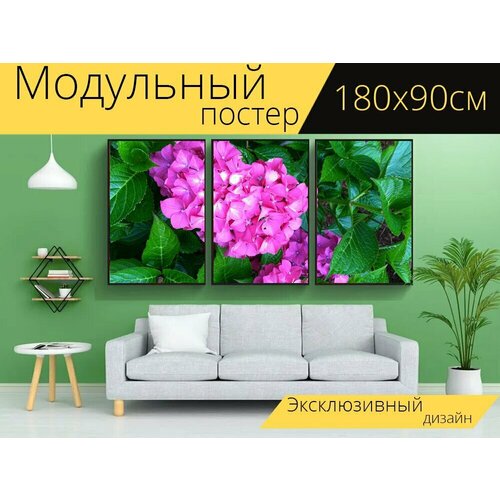Модульный постер "Цветок, гортензия, сад" 180 x 90 см. для интерьера