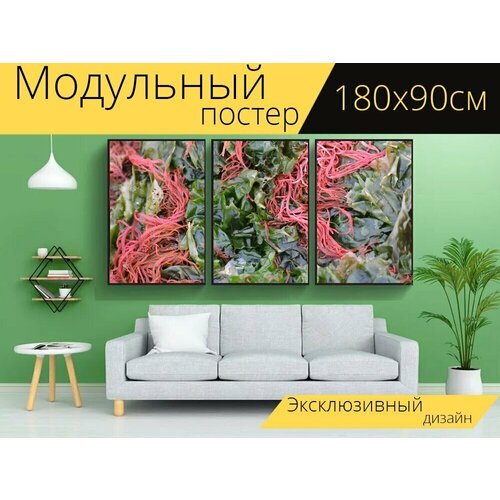 Модульный постер "Морские водоросли, водоросли, природа" 180 x 90 см. для интерьера
