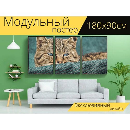 Модульный постер "Кошка, тигр, млекопитающее" 180 x 90 см. для интерьера