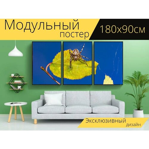 Модульный постер "Европейский садовый паук, диадема паук, orangie" 180 x 90 см. для интерьера