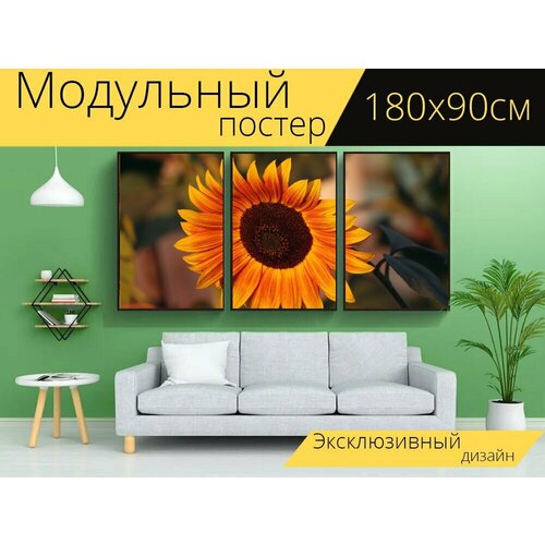 Модульный постер "Подсолнечник, цвести, желтый цветок" 180 x 90 см. для интерьера