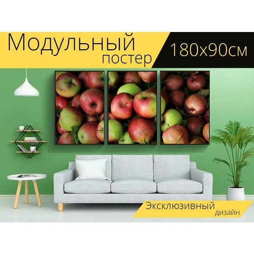 Модульный постер "Яблоки, фрукты, свежий" 180 x 90 см. для интерьера