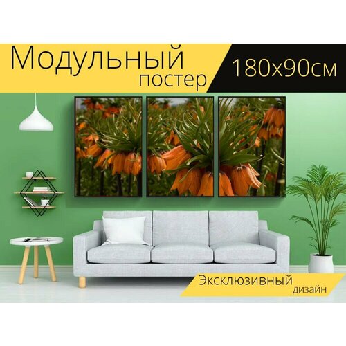 Модульный постер "Корона императорская, рябчик хонорифика, цветы" 180 x 90 см. для интерьера