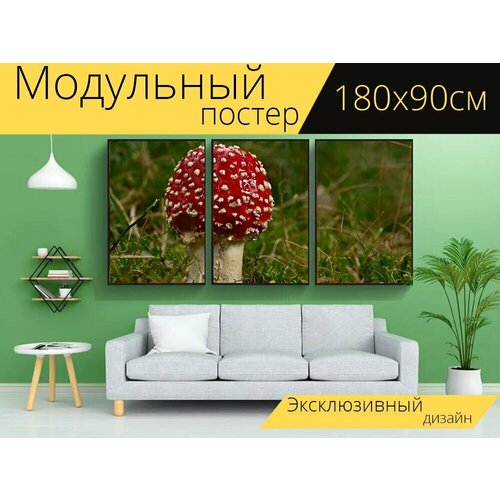 Модульный постер "Мухомор, гриб, лесной гриб" 180 x 90 см. для интерьера