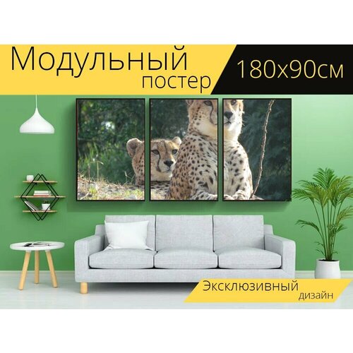 Модульный постер "Гепарды, дикая природа, африка" 180 x 90 см. для интерьера