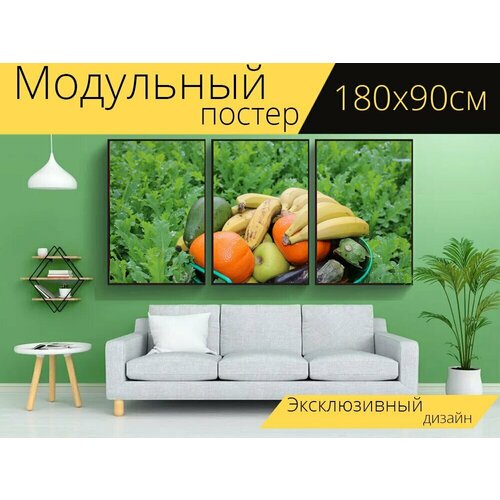 Модульный постер "Фрукты, яблоко, банан" 180 x 90 см. для интерьера