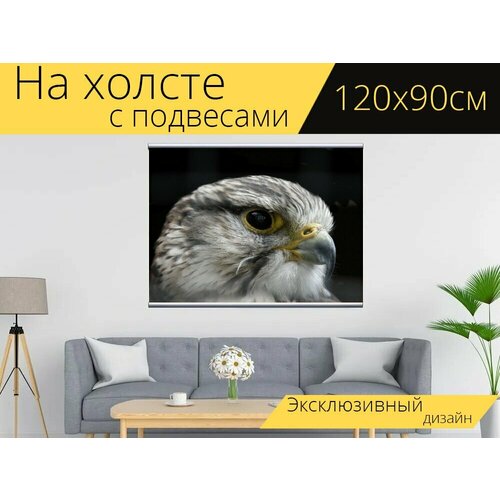 Картина на холсте "Сокол, хищник, птица" с подвесами 120х90 см. для интерьера