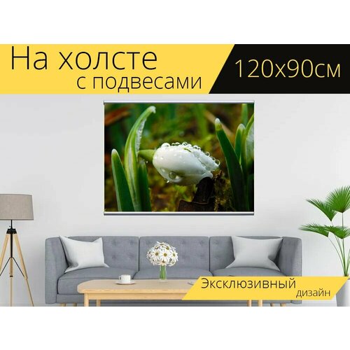 Картина на холсте "Подснежник, весна, красивая" с подвесами 120х90 см. для интерьера