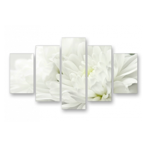 Модульная картина на стекле | Diva Kartina | Цветы. Белая нежность хризантемы | 150X90 см