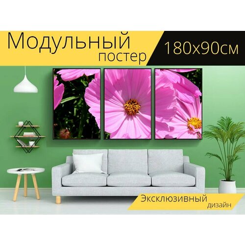Модульный постер "Гибискус, гигантские цветы, цвет светлорозовый" 180 x 90 см. для интерьера