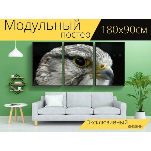 Модульный постер "Сокол, хищник, птица" 180 x 90 см. для интерьера