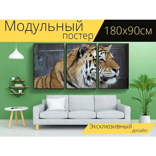 Модульный постер "Тигр, морда тигра, портрет" 180 x 90 см. для интерьера