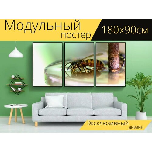 Модульный постер "Оса, насекомое, перепончатокрылые" 180 x 90 см. для интерьера
