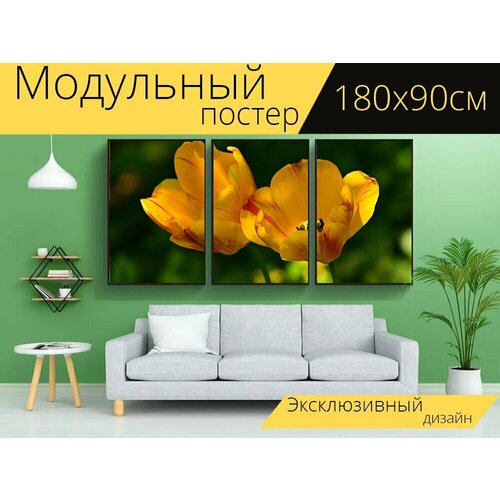 Модульный постер "Желтый тюльпан, цветок, завод" 180 x 90 см. для интерьера