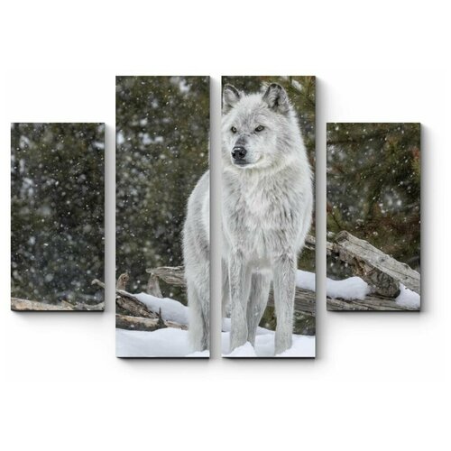 Модульная картина Серый волк 190x143