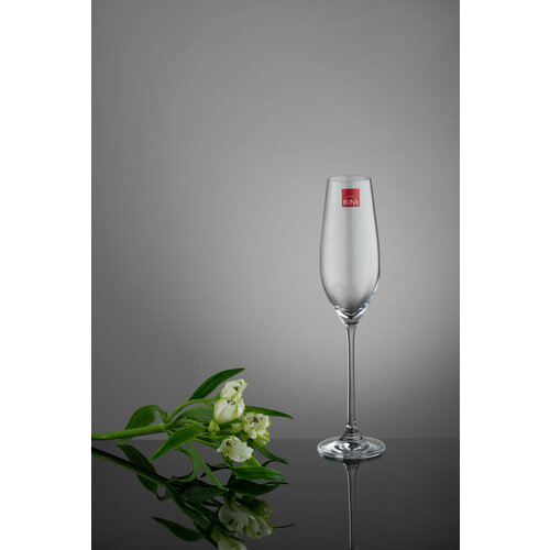 Набор бокалов RONA для шампанского "Celebration", 210 мл, 6 шт