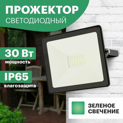 Прожектор REXANT 605-016, 30 Вт, свет: зеленый