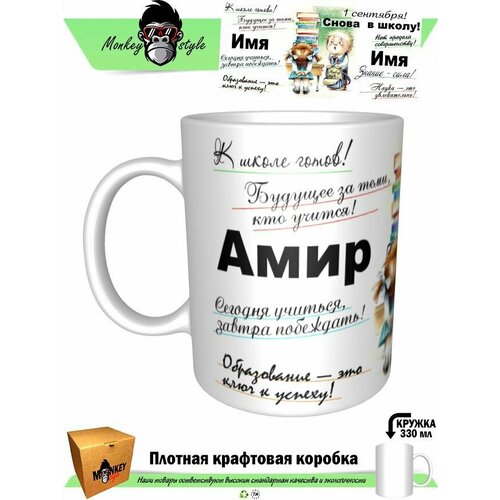 Амир. К школе готов!