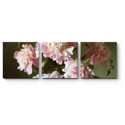 Модульная картина Розовые пионы 190x63