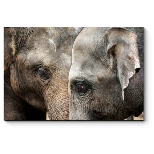 Модульная картина Любовь слонов 80x53