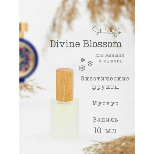 Divine Blossom духи стойкие