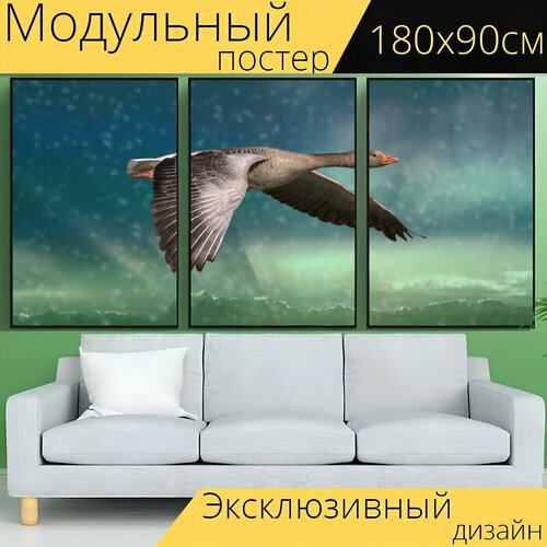 Модульный постер "Дикий гусь, птица, гусь" 180 x 90 см. для интерьера
