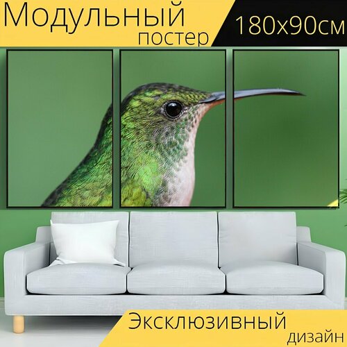Модульный постер "Колибри, птица, грин" 180 x 90 см. для интерьера