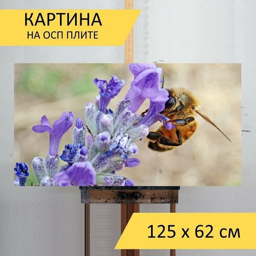 Картина на ОСП 125х62 см. "Пчела, насекомое, цветы" горизонтальная, для интерьера, с креплениями