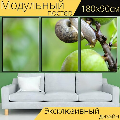 Модульный постер "Улитка, фрукты, весна" 180 x 90 см. для интерьера