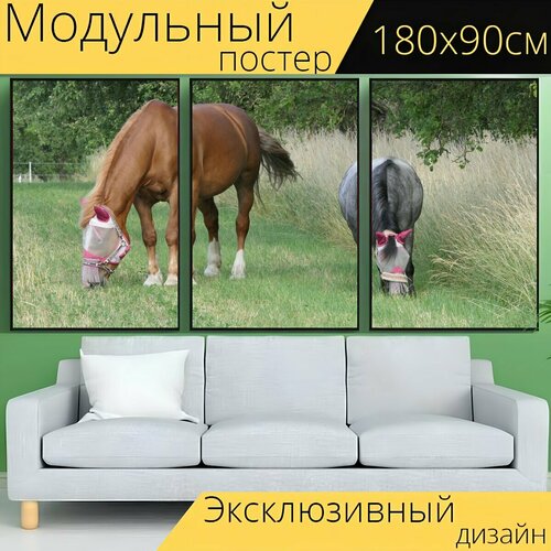 Модульный постер "Лошадь, пони, пастбище" 180 x 90 см. для интерьера