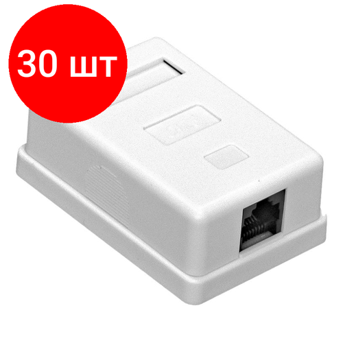 Комплект 30 штук, Розетка ExeGate SM1-RJ45-C6 RJ-45 кат.6 UTP Krone/110 (EX292844RUS)