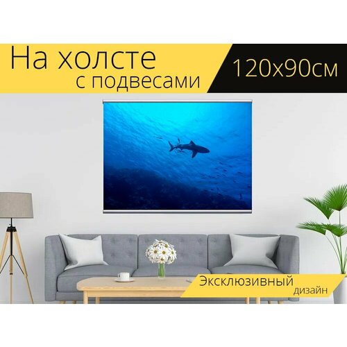 Картина на холсте "Акула, большой барьерный риф, подводный" с подвесами 120х90 см. для интерьера
