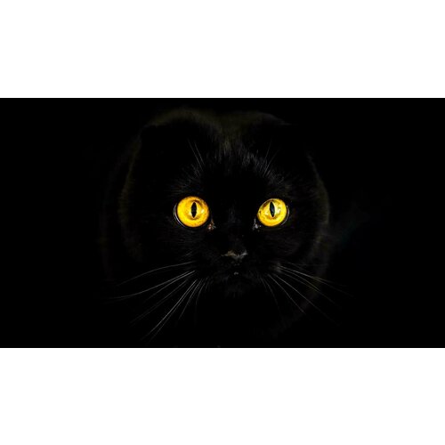 Картина на холсте 110x60 LinxOne "Чёрный кот чёрный горят" интерьерная для дома / на стену / на кухню / с подрамником