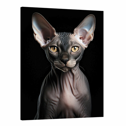Интерьерная картина 50х70 "Кошка сфинкс: маска загадки"