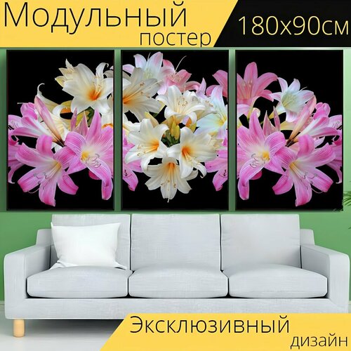 Модульный постер "Цветы, лилии, белладонна" 180 x 90 см. для интерьера