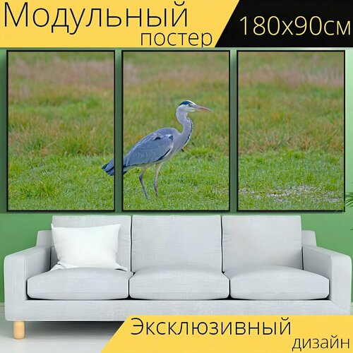 Модульный постер "Птица, серая цапля, цапля" 180 x 90 см. для интерьера