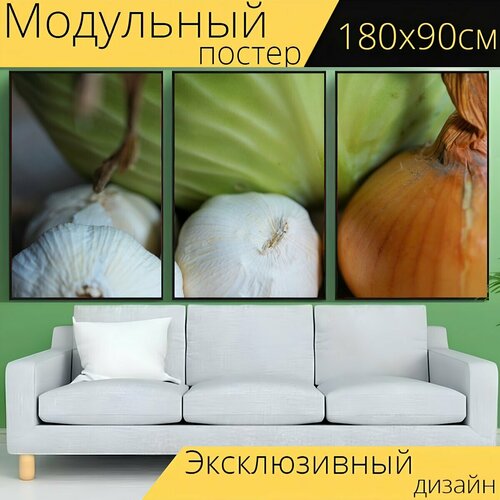 Модульный постер "Овощи, еда, ингредиенты" 180 x 90 см. для интерьера