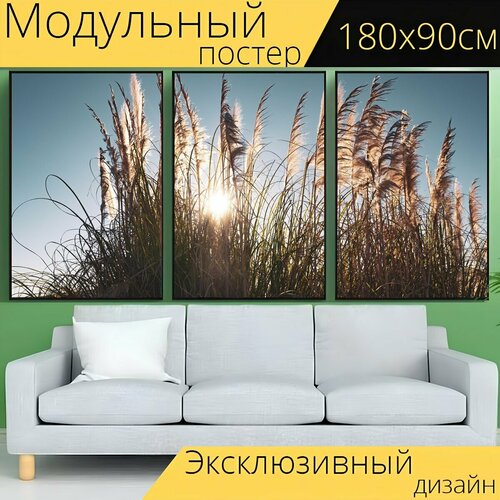 Модульный постер "Тростник, трава, солнечный свет" 180 x 90 см. для интерьера