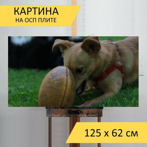 Картина на ОСП 125х62 см. "Собака, мяч, счастье" горизонтальная, для интерьера, с креплениями
