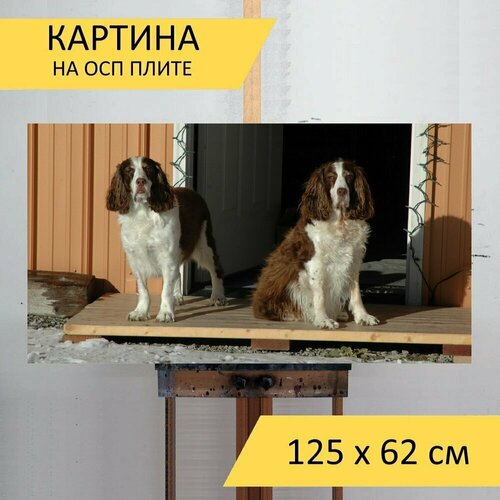 Картина на ОСП 125х62 см. "Спаниель, спрингер, собака" горизонтальная, для интерьера, с креплениями