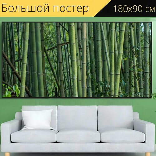 Большой постер "Сельская местность, бамбук, пейзаж" 180 x 90 см. для интерьера