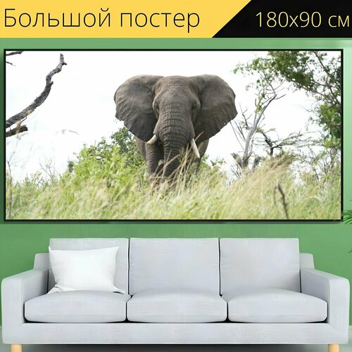 Большой постер "Слон, африка, сафари" 180 x 90 см. для интерьера