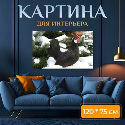 Картина на холсте "Курица, домашняя птица, со свободным выгулом" на подрамнике 120х75 см. для интерьера