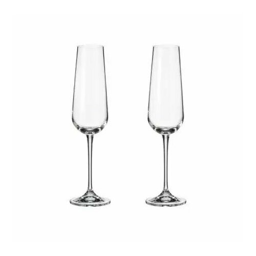 Набор бокалов для шампанского Crystalite Bohemia Ardea/Amudsen, 220мл, 2шт