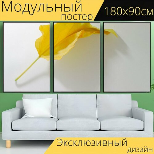 Модульный постер "Желтый, лист, осень" 180 x 90 см. для интерьера