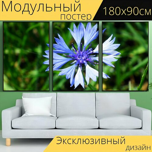Модульный постер "Цветок, васильковый, синий" 180 x 90 см. для интерьера