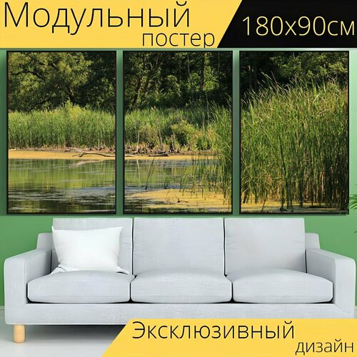 Модульный постер "Берег реки, тростник, пейзаж" 180 x 90 см. для интерьера