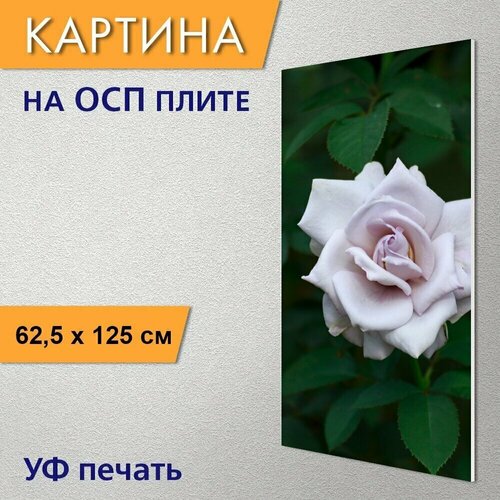 Вертикальная картина на ОСП "Роуз, цветы, осенняя роза" 62x125 см. для интерьериа