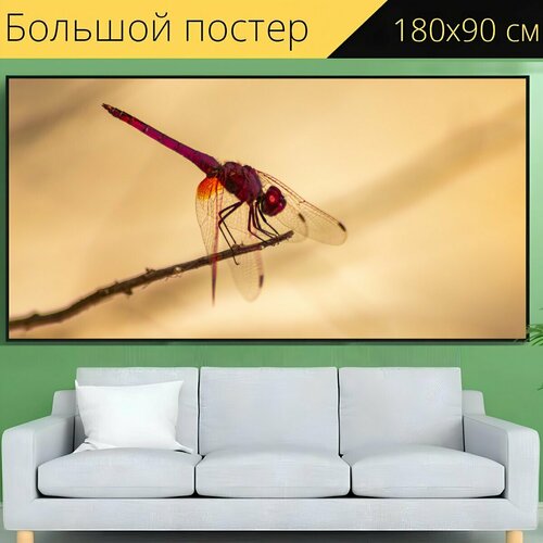 Большой постер "Стрекоза, макрос, насекомое" 180 x 90 см. для интерьера